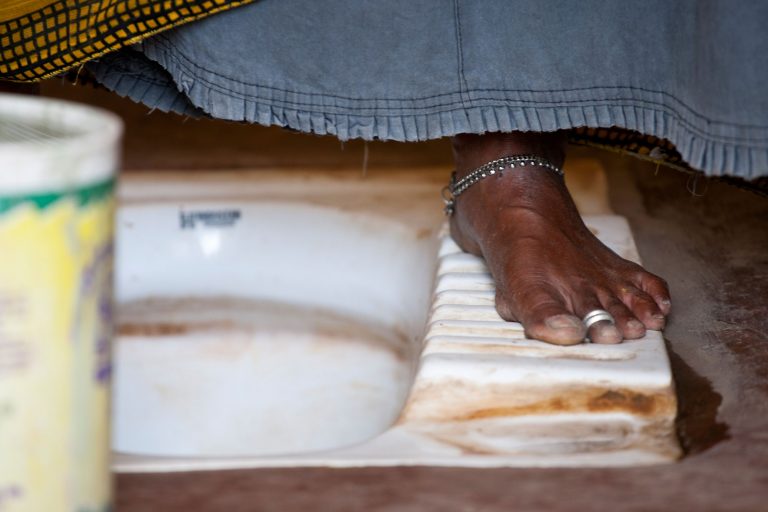 Rural sanitation: A charter of demands - India Development Review