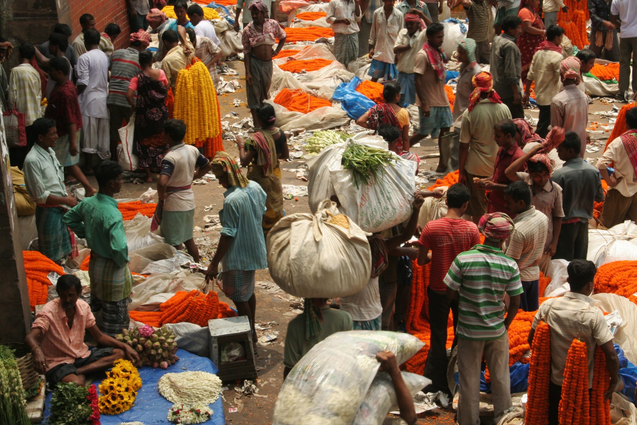 India's official poverty line excludes many households | IDR
