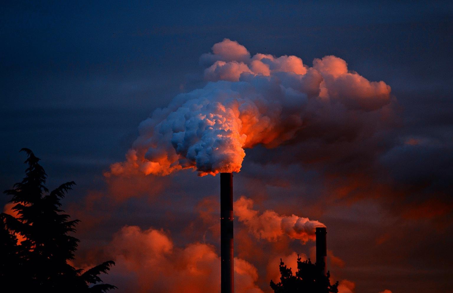 Environment ministry underutlised its budget by about 50 percent | IDR
