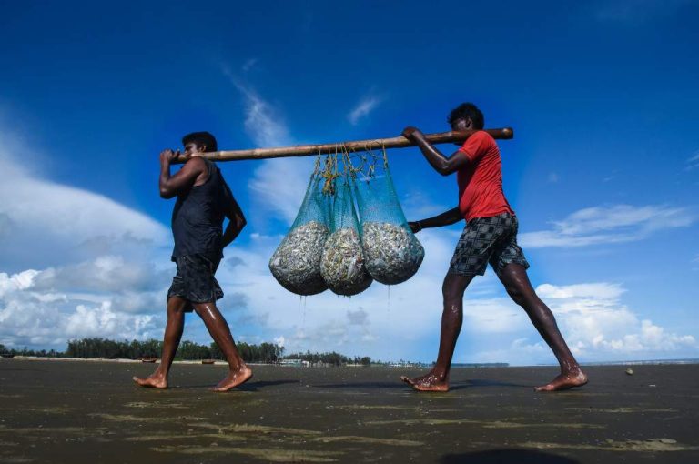 Photo essay: Why are fishers in West Bengal shifting to farming? | IDR