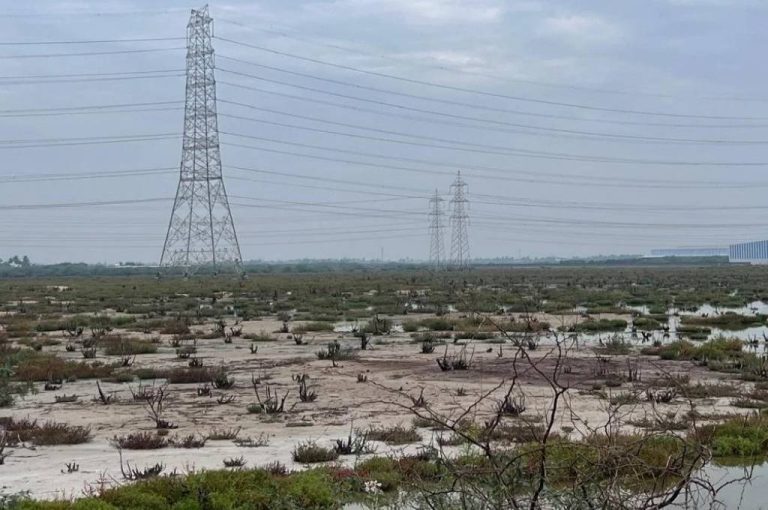 Life under ash in a Tamil Nadu village | IDR